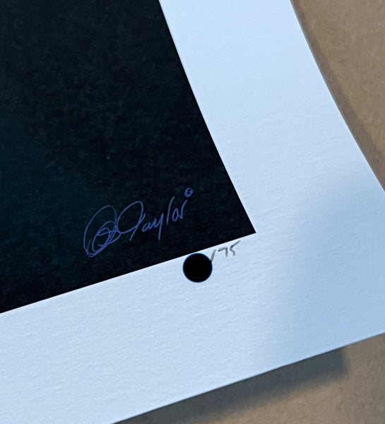 Des Taylor - Triumphant (Wonder Woman) – Addicted2Print